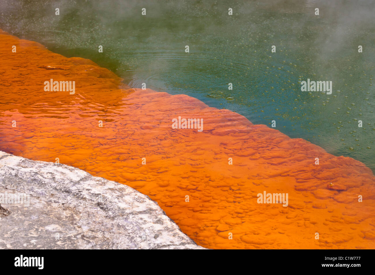 Detail of Champagne Pool at Wai-O-Tapu Wonderland. Geothermal area at ...