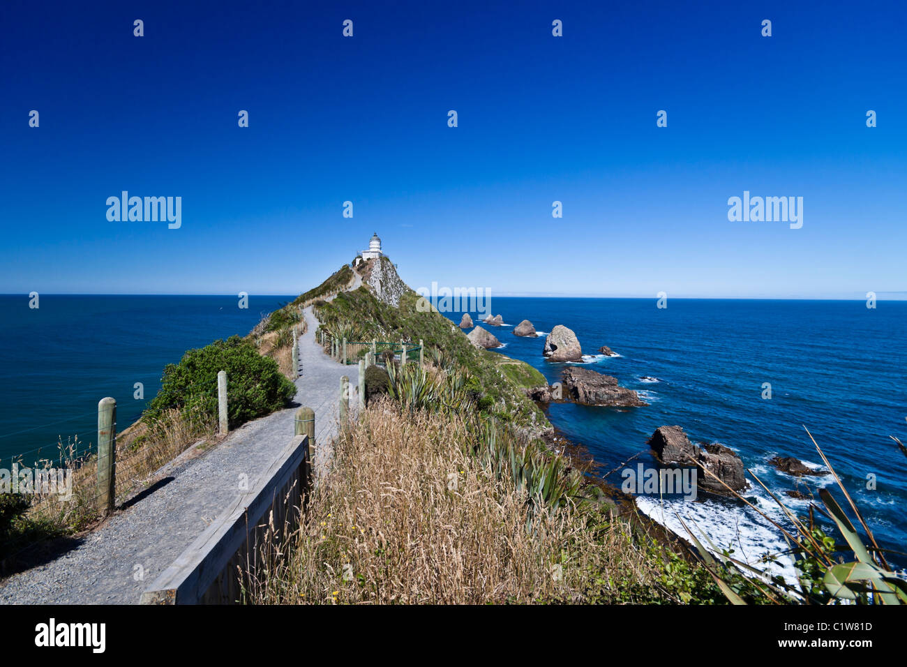 Walkway to Nugget Point Lighthouse. New Zealand Stock Photo - Alamy