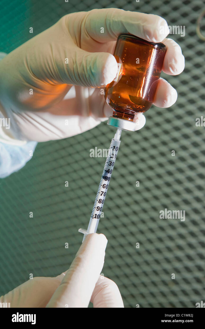 Doctor filling a syringe Stock Photo - Alamy