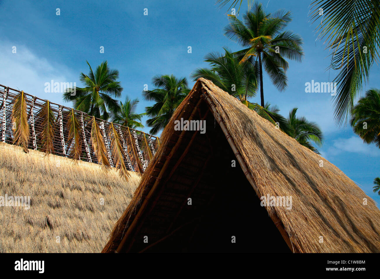 Low angle view of a thatched roof house, Place Of Refuge National Park ...