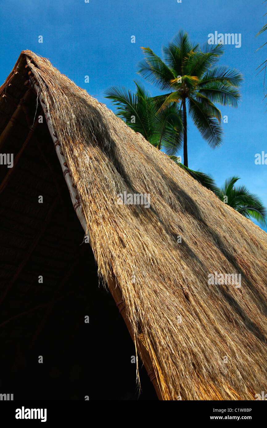Low angle view of a thatched roof house, Place Of Refuge National Park ...