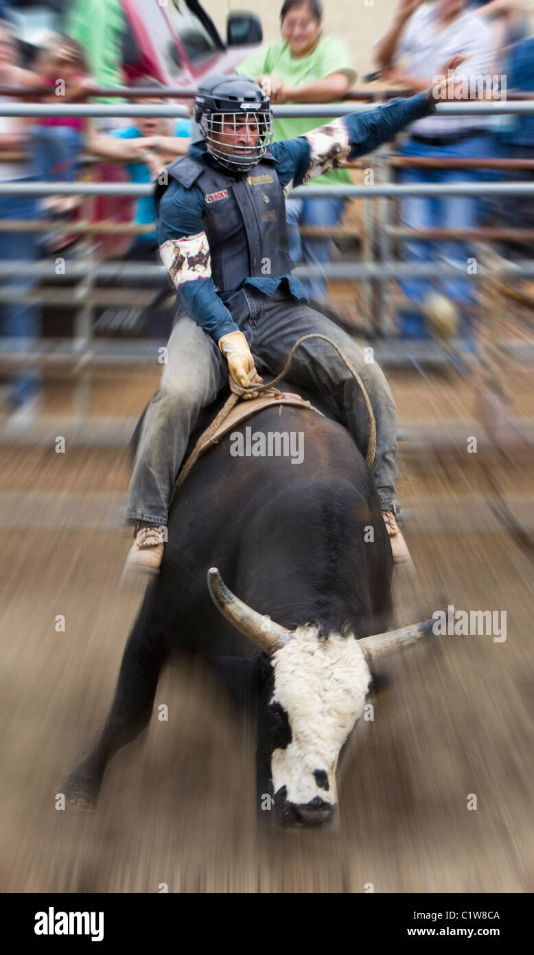 Bull rider competing in rodeo event Stock Photo - Alamy