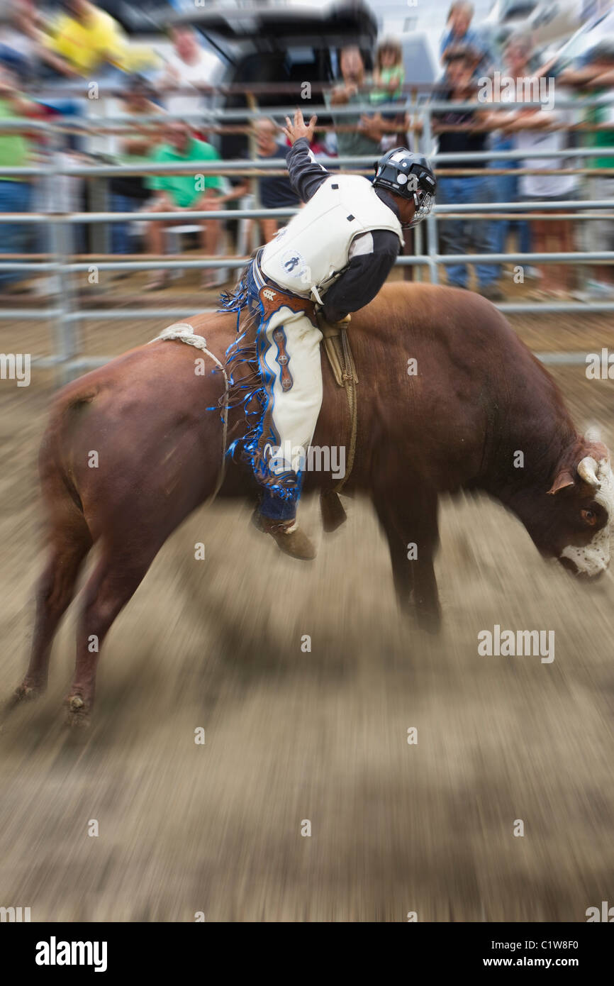 Bull rider competing in rodeo event Stock Photo - Alamy