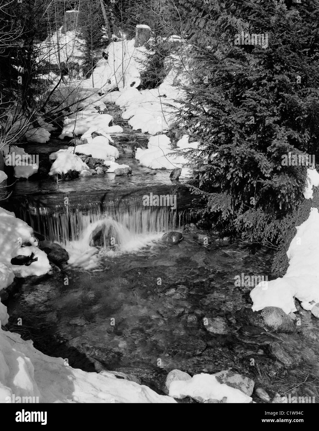 Mountain stream in spring Stock Photo - Alamy