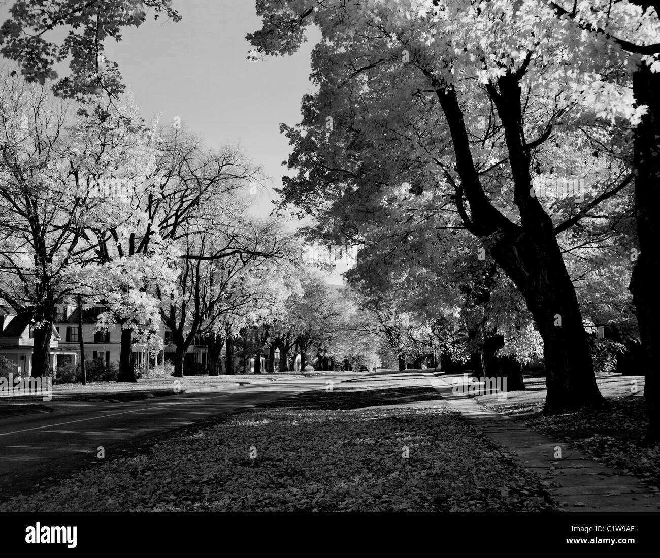 Manchester black people Black and White Stock Photos & Images - Alamy
