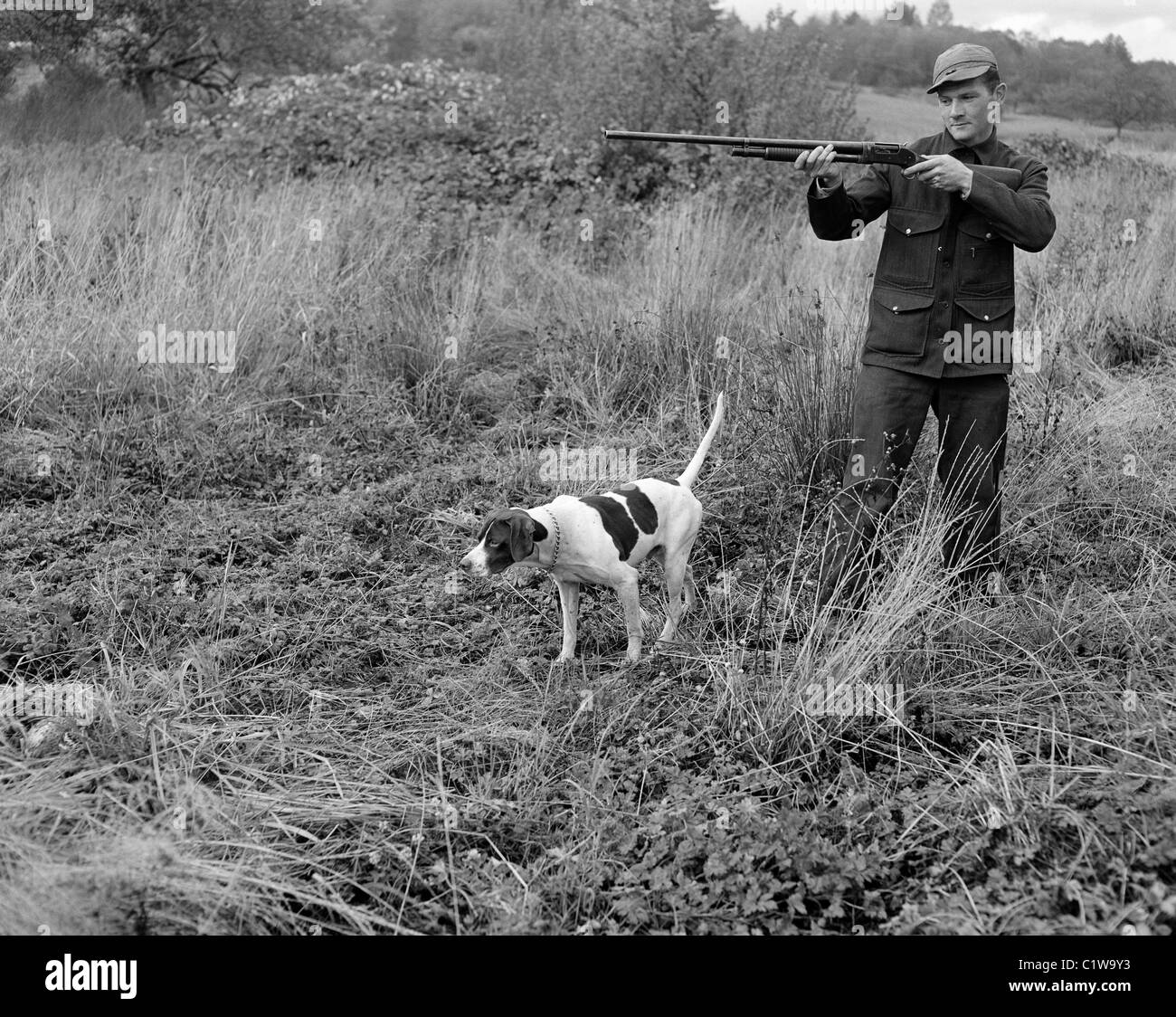 Man with hound hunting in fields Stock Photo - Alamy