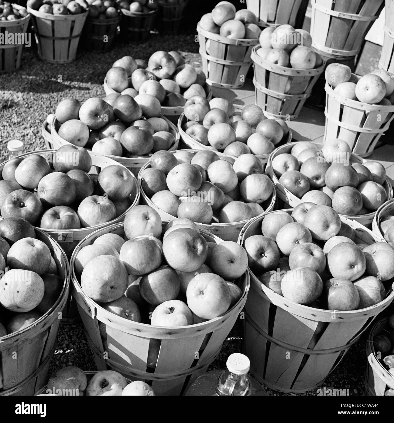 Wooden buckets with apples Stock Photo - Alamy