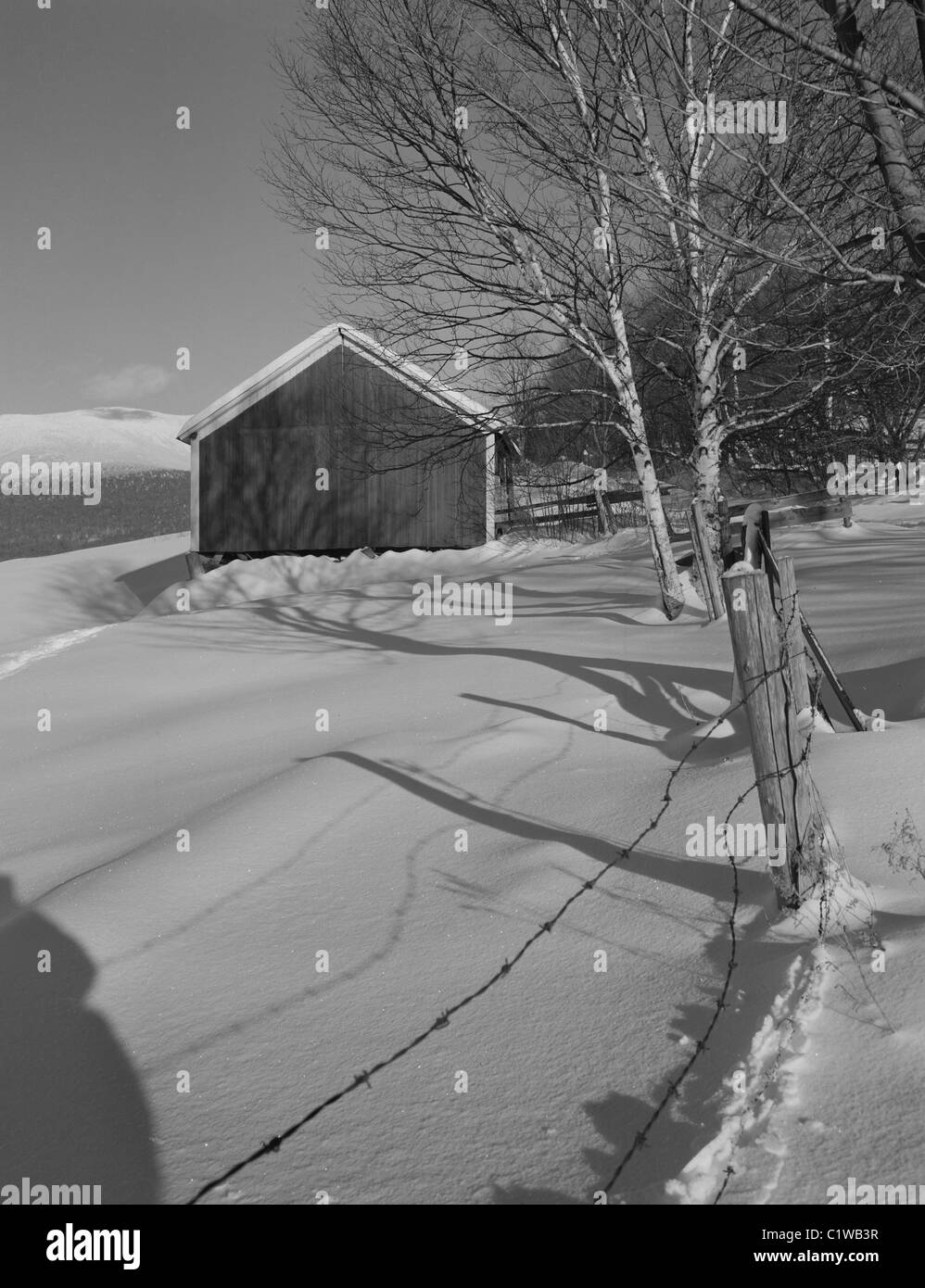 Winter scene usa Black and White Stock Photos & Images - Alamy