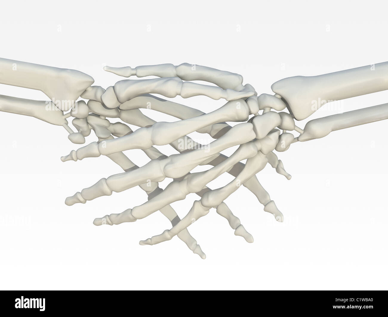 Skeleton handshake hi-res stock photography and images - Alamy