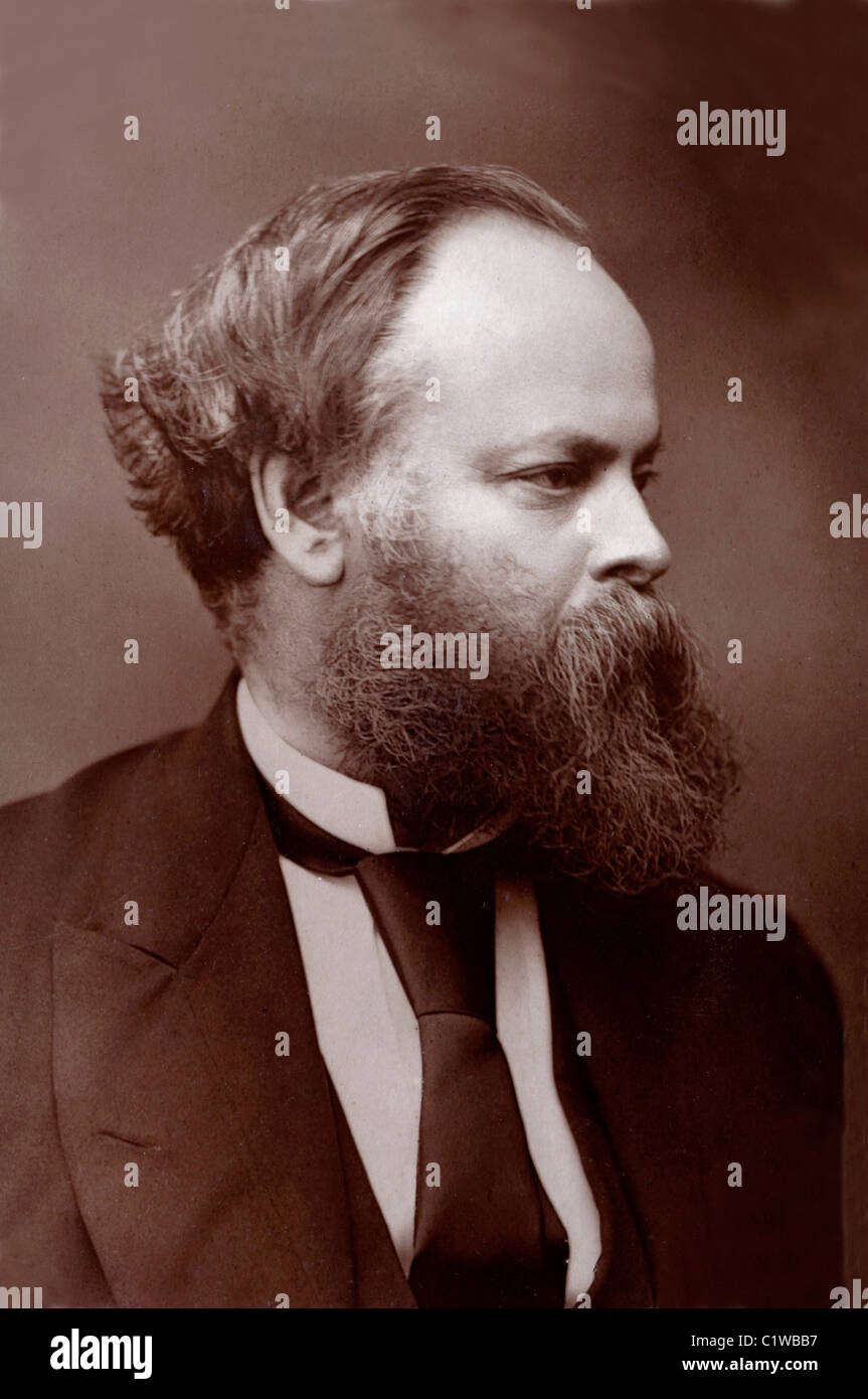 Portrait of Samuel Plimsoll (1824-1898) British Politician & Social ...