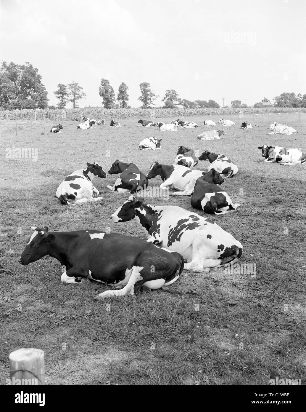 Relaxing and tranquil Black and White Stock Photos & Images - Alamy