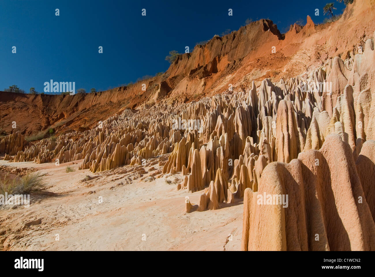 Madagascar, Red Tsingys, Extraordinary rock formations Stock Photo - Alamy