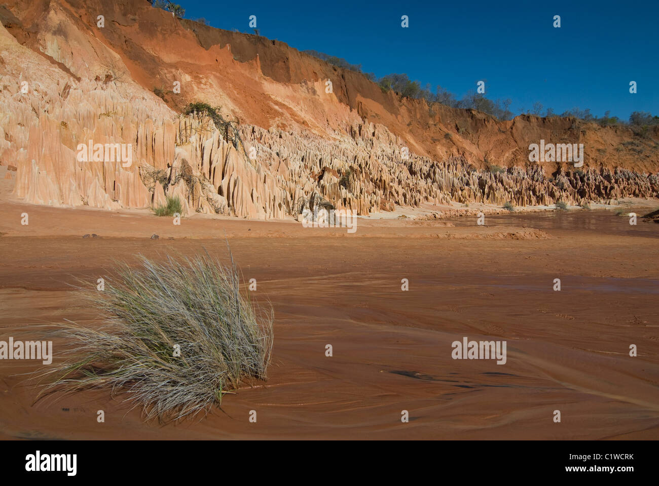 Madagascar, Red Tsingys, Extraordinary rock formations Stock Photo - Alamy