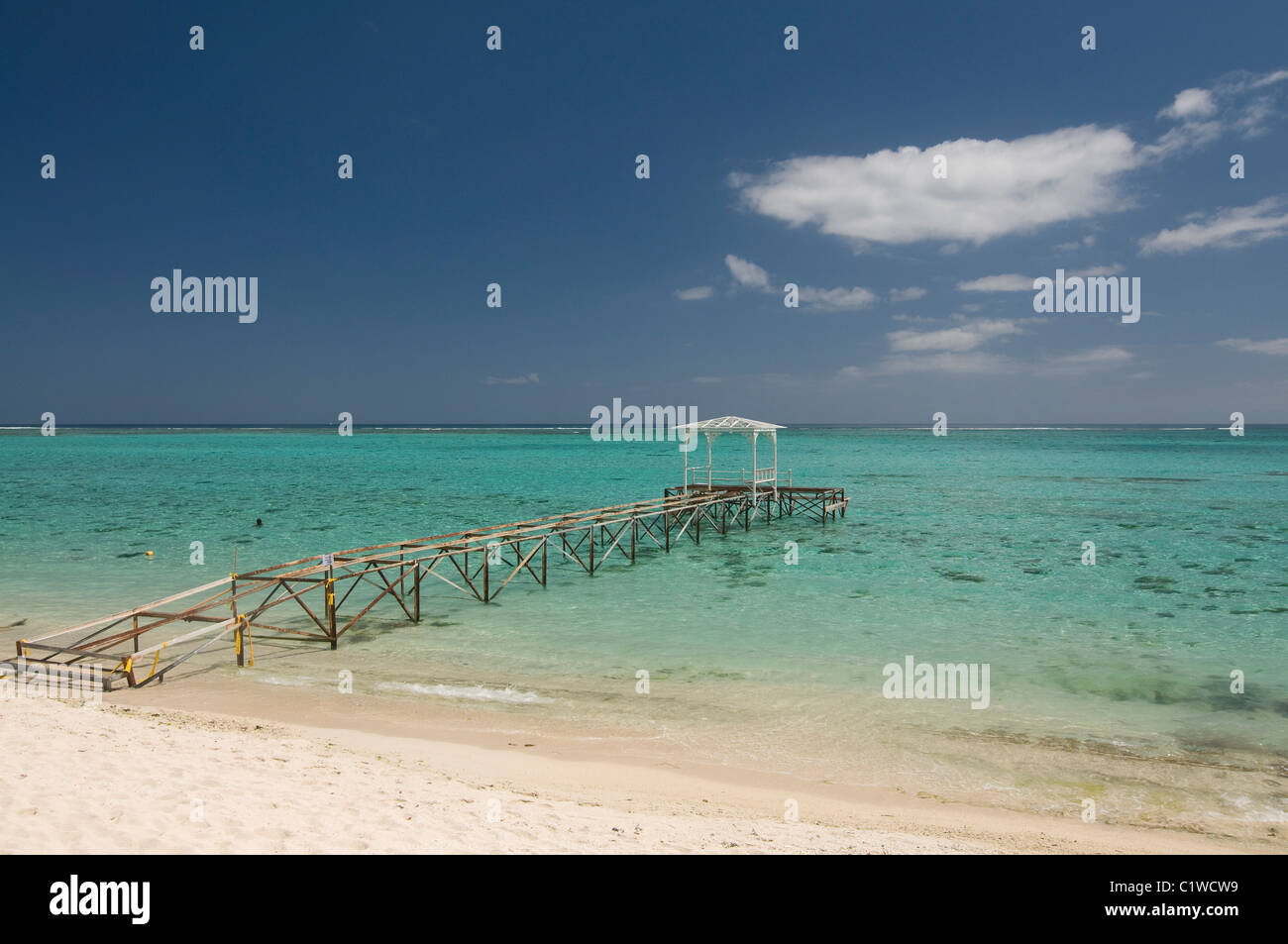 Dinarobin hi-res stock photography and images - Alamy