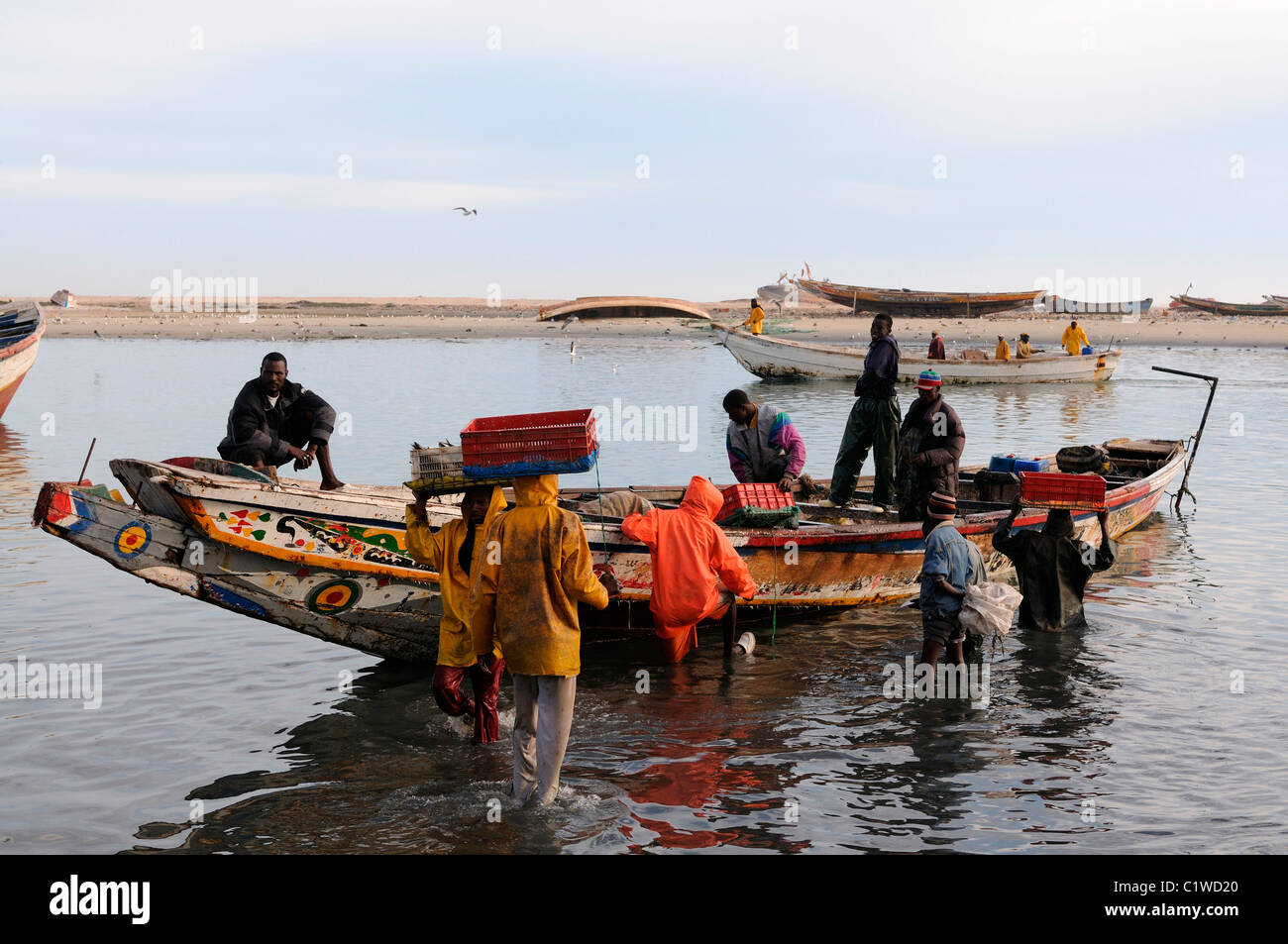 Mauritania nouadhibou fishing hi-res stock photography and images - Alamy