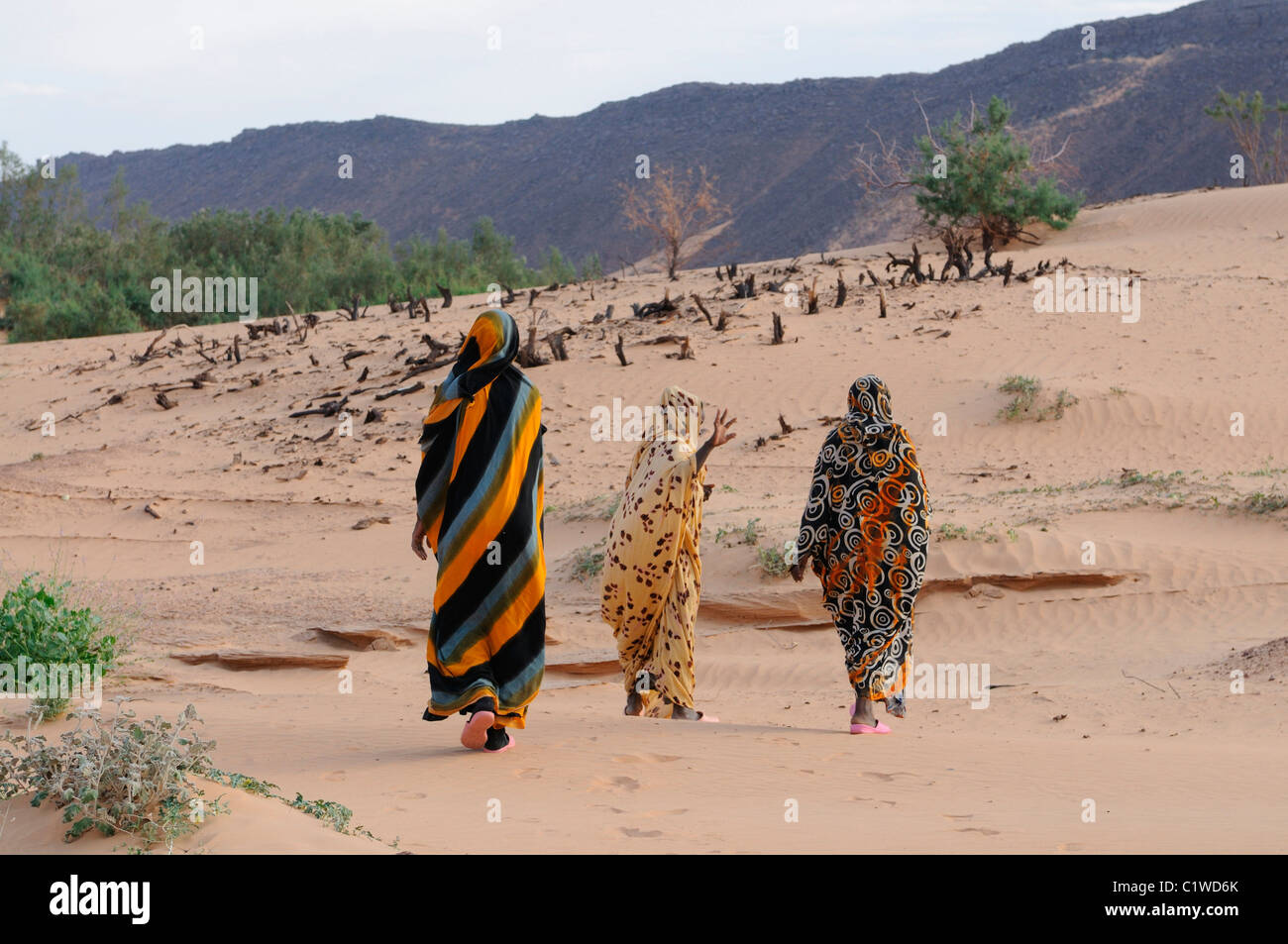 Three women wearing traditional clothing walking through desert Stock ...