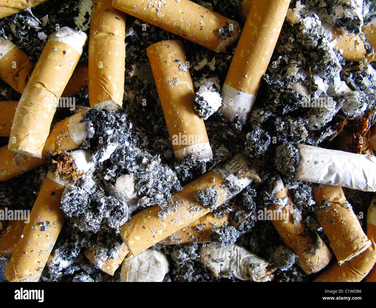 Cigarettes in Tray Stock Photo - Alamy