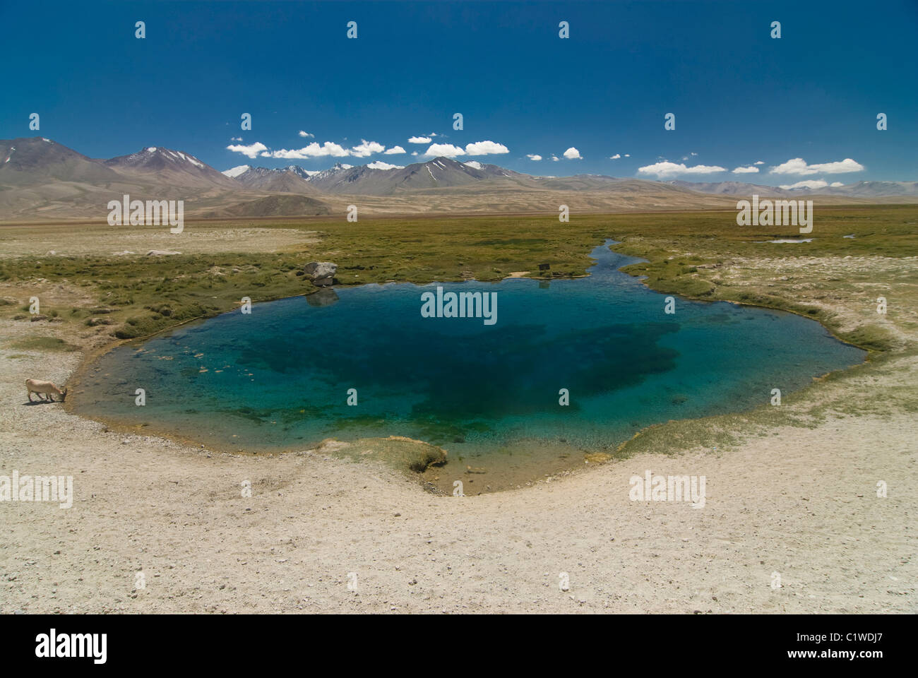 Tajikistan, Spring Ak Balyk Stock Photo - Alamy