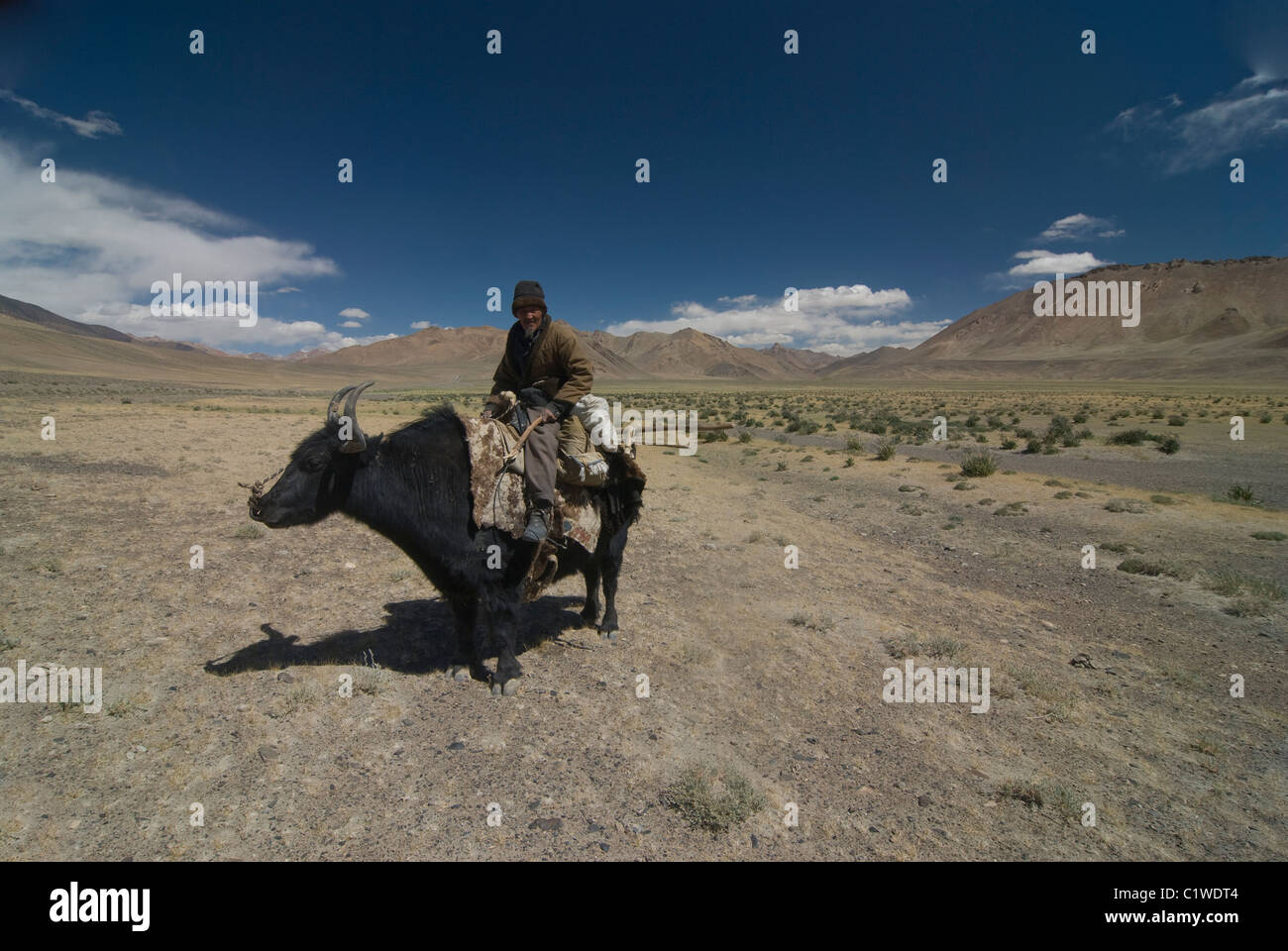 Tajikistan, Pamir Highway, man riding yak Stock Photo - Alamy