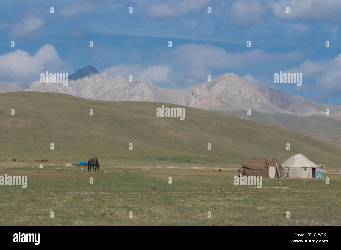 Kyrgyzstan, Song Kol, Yurts of camping nomads Stock Photo - Alamy
