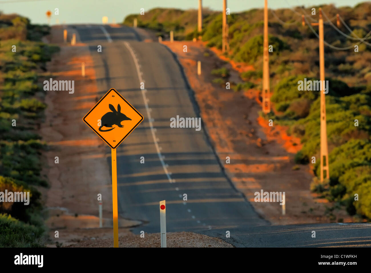 Bilby Road Sign, Shark Bay Western Australia Stock Photo - Alamy