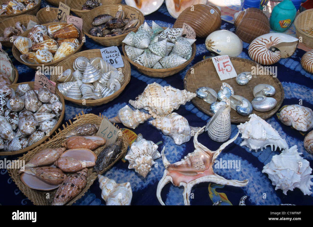 Shells on Saint Paul market, La Reunion island (France), Indian Ocean ...