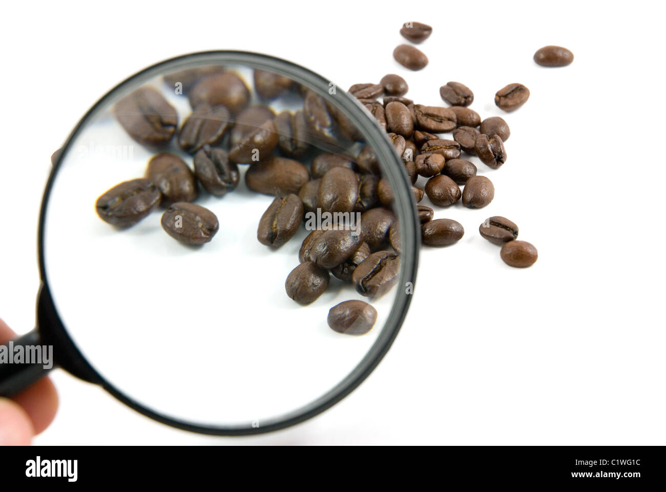 Inspection of quality coffee beans Stock Photo - Alamy