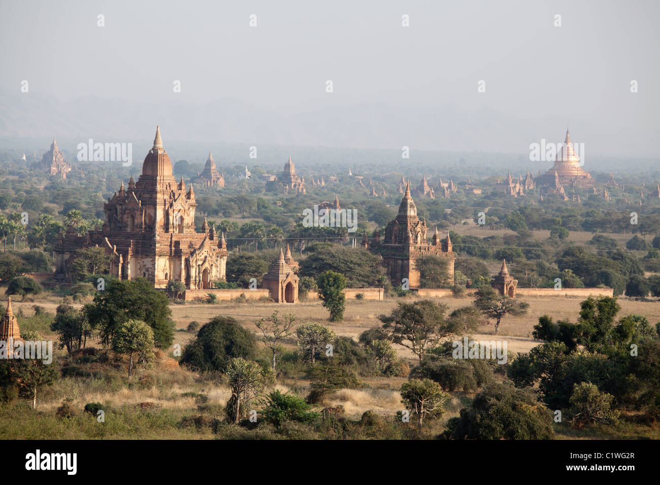 Valley of thousands Buddhist pagodas in Bagan, Burma Stock Photo - Alamy