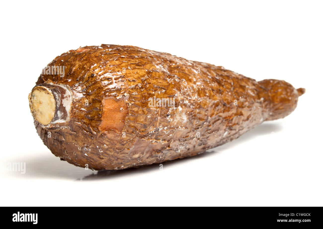Cassava root hi-res stock photography and images - Alamy