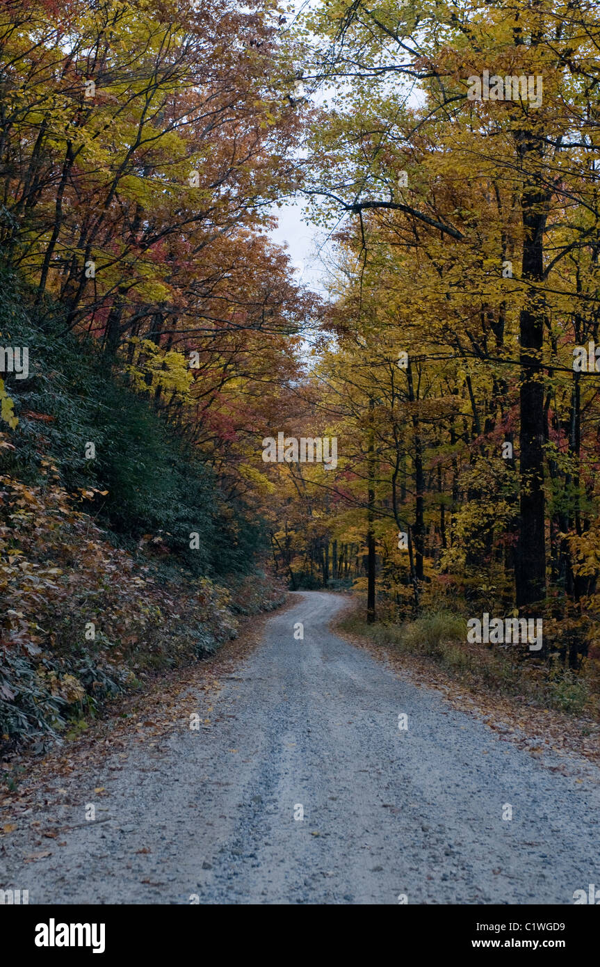 Virginia country road hi-res stock photography and images - Alamy