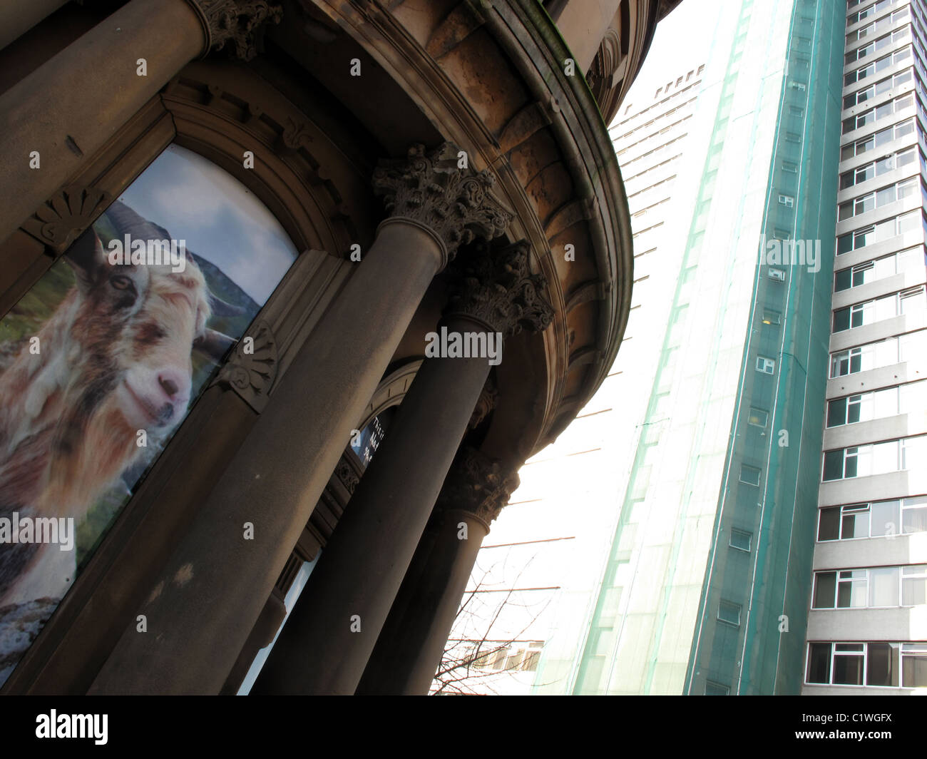 Buildings surrounding Dublin road - Belfast city - County Antrim ...