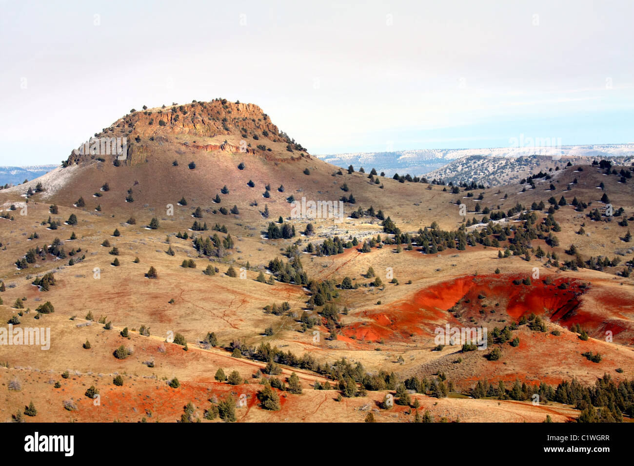 Beautiful dry high desert red soils hills junipers hi-res stock ...