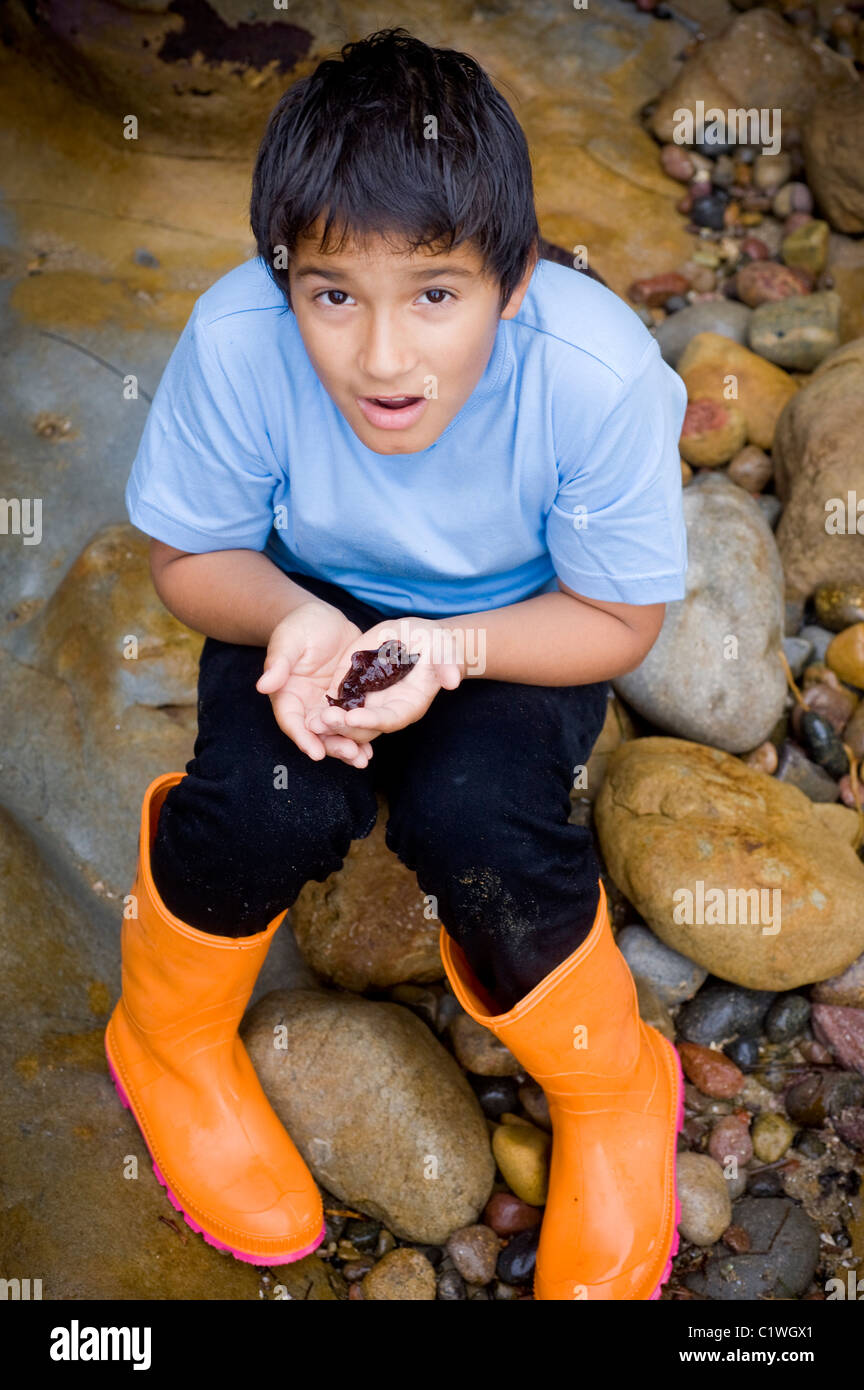 Slug looking at camera hi-res stock photography and images - Alamy