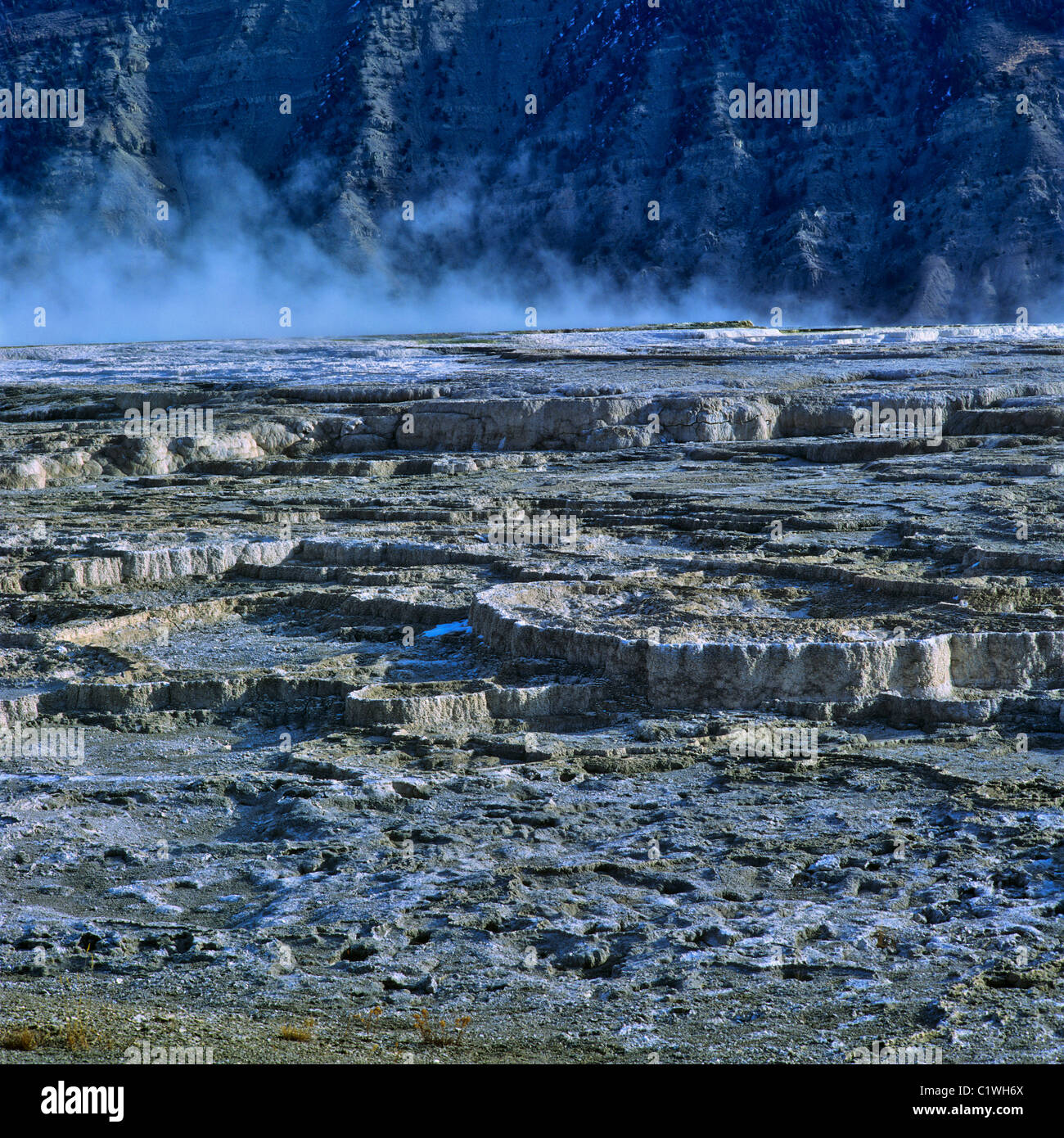 Steam emerging from a hot spring, Mount Everts, Mammoth Hot Springs ...