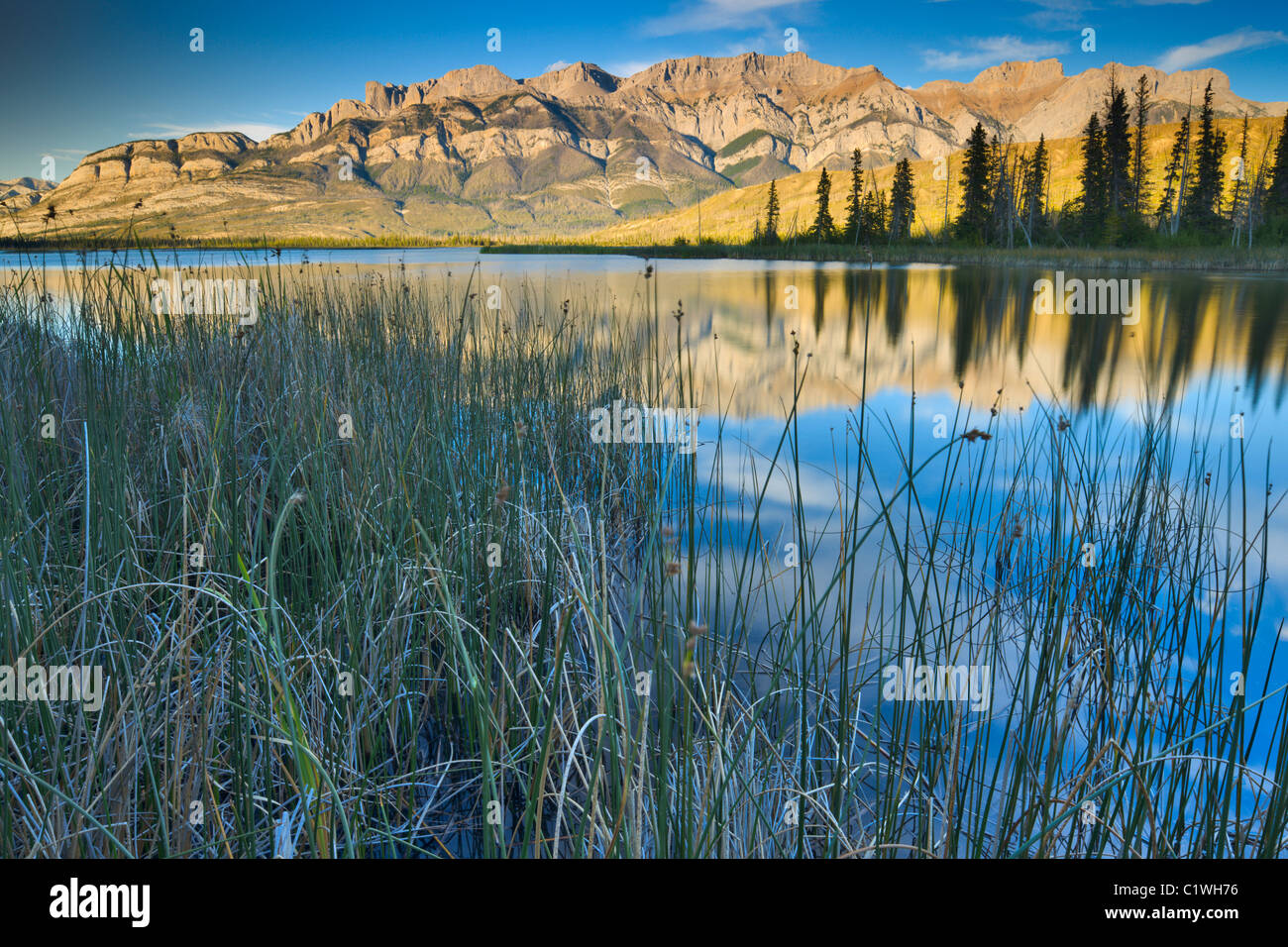 Talbot lake rocky mountains hi-res stock photography and images - Alamy
