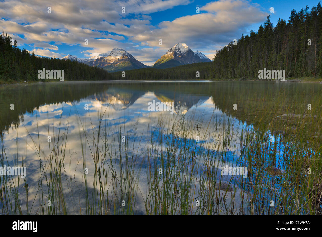 Reflection of clouds in a lake, Whirlpool Peak, Mount Fryatt, Leech ...