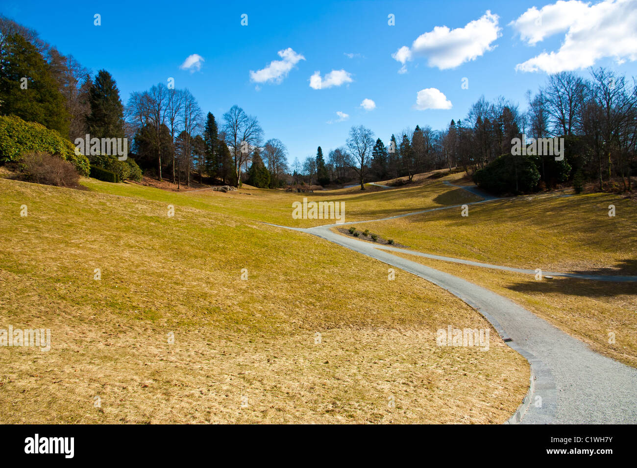 Picture of a park during spring Stock Photo - Alamy
