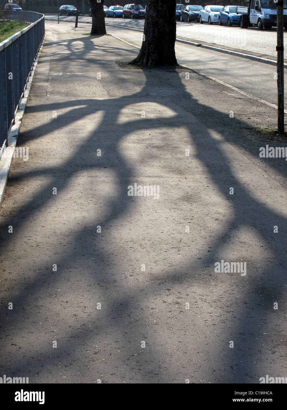 River lagan belfast tree hi-res stock photography and images - Alamy