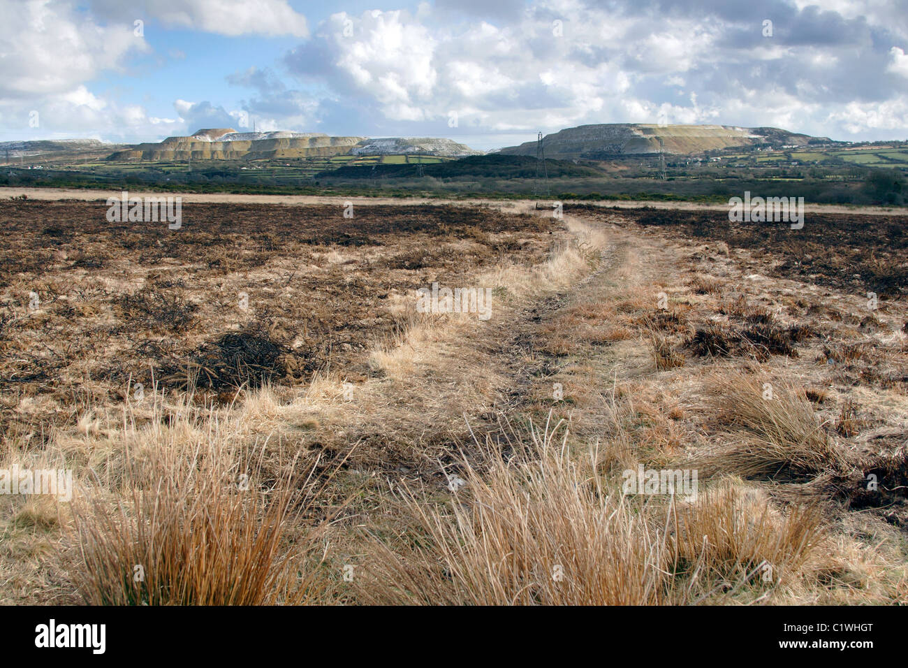 View over Goss Moor National Nature Reserve towards China clay quarry ...