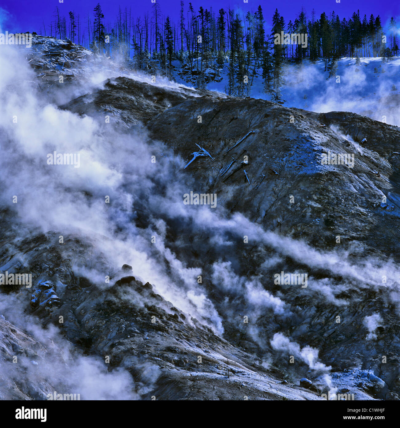 Steam emerging from a mountain, Roaring Mountain, Yellowstone National ...