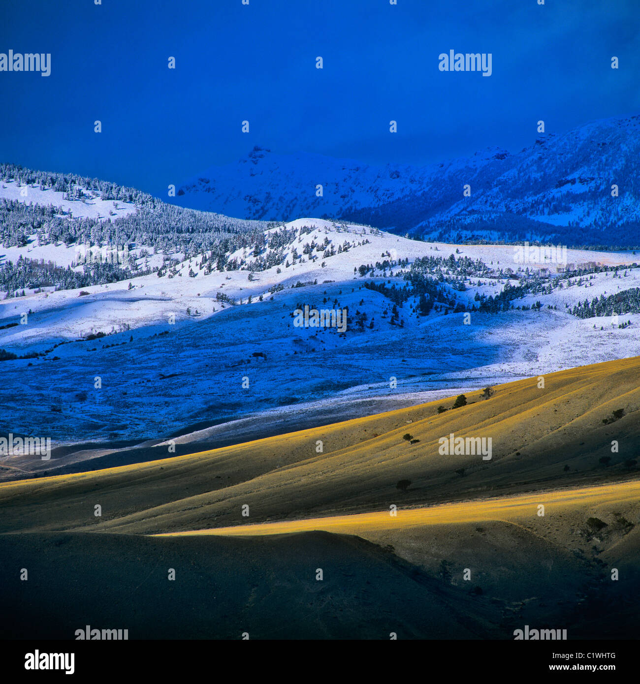 Everts hi-res stock photography and images - Alamy