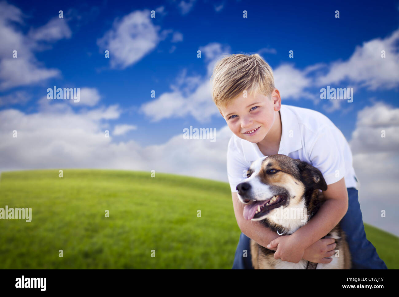 Handsome Young Boy Playing with His Dog on a Lush Green Grass Field ...