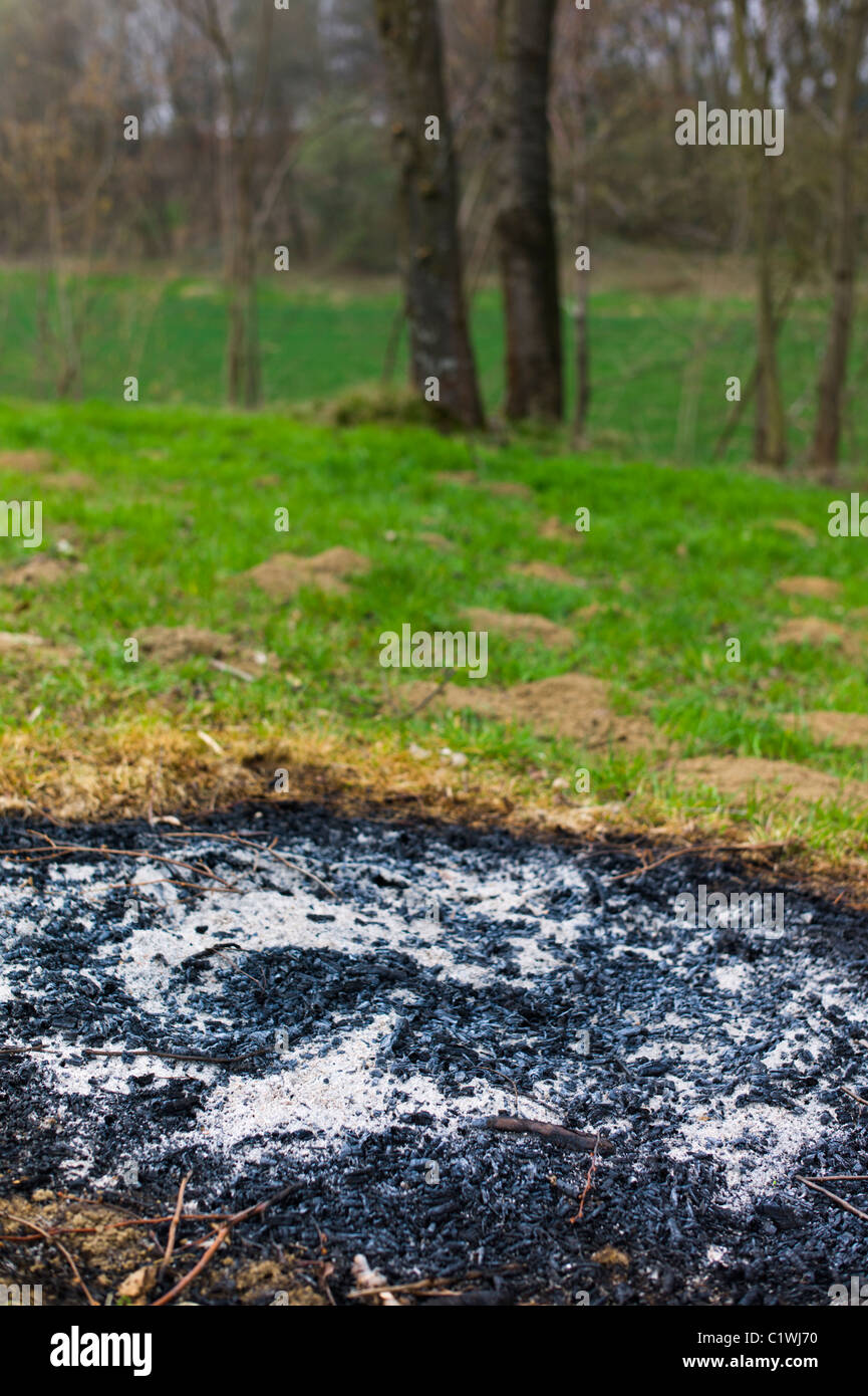 Remnants of an open wood fire Stock Photo - Alamy