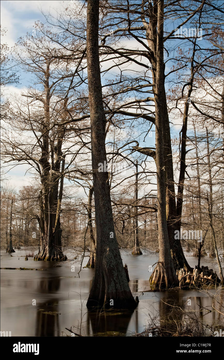 Arkansas hills hi-res stock photography and images - Alamy