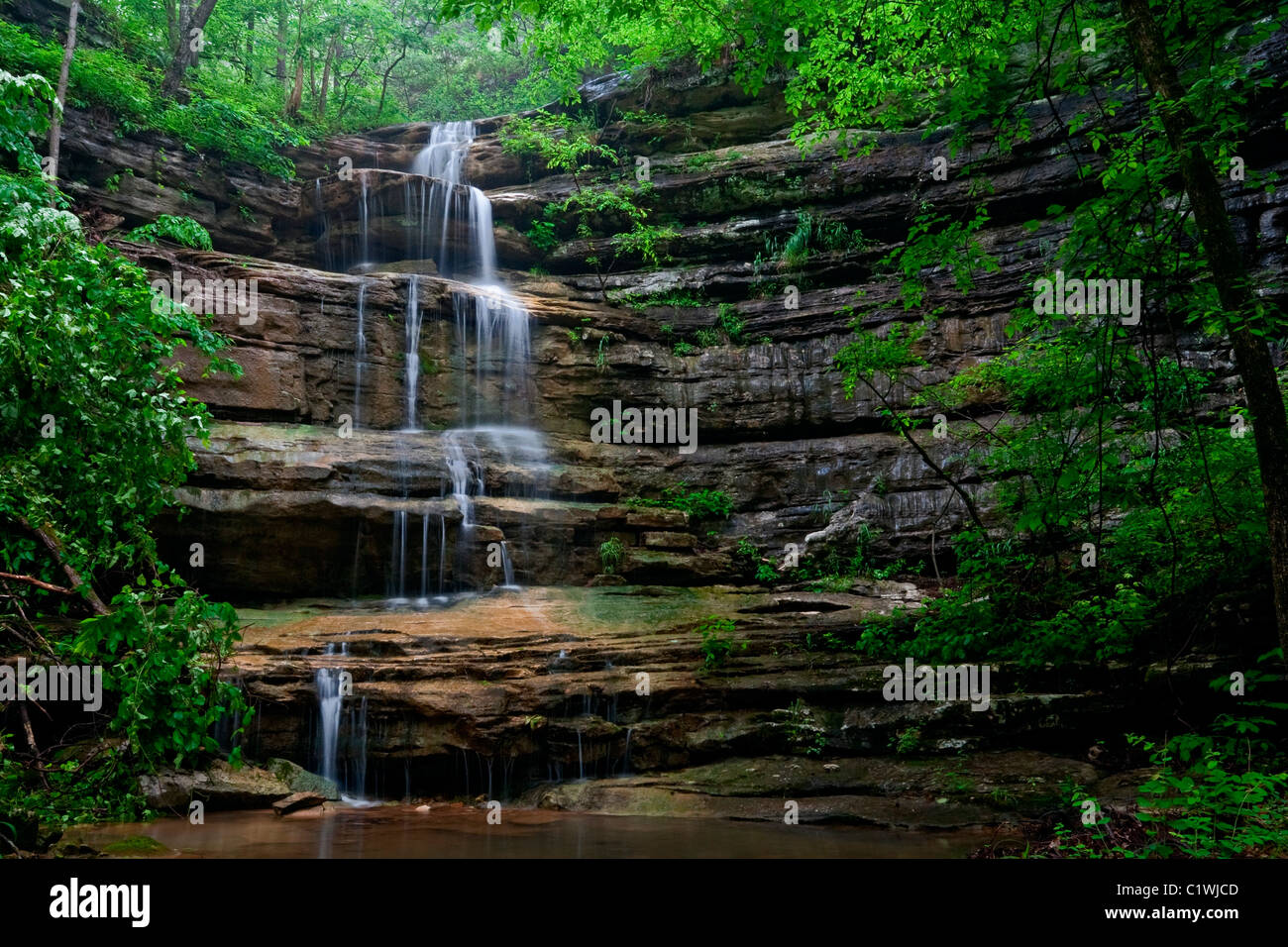 Waterfall in a forest, Liles Falls, Ozark Mountains, Ozark National ...