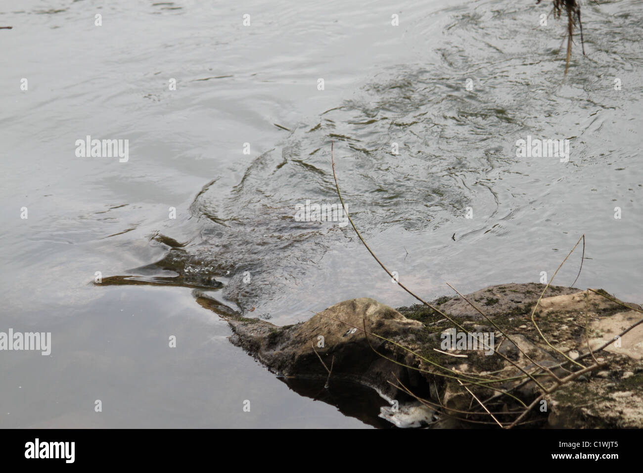 Ripples in the river Wye Stock Photo - Alamy