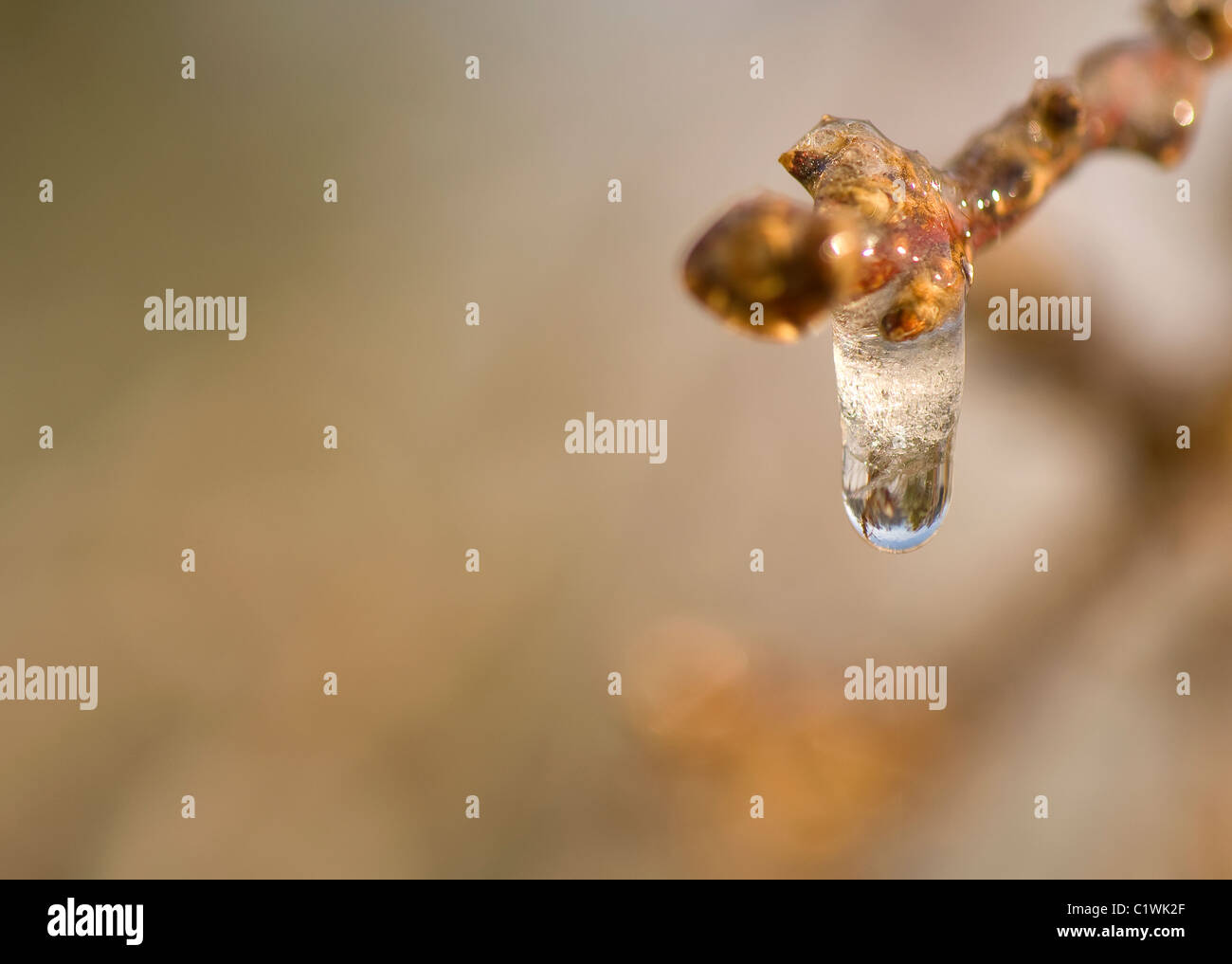 Stalsagmite hi-res stock photography and images - Alamy