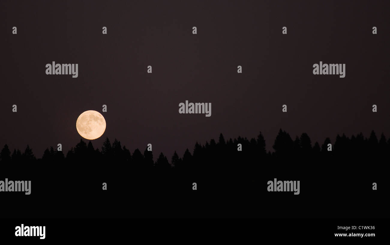 Oregon night sky hi-res stock photography and images - Alamy
