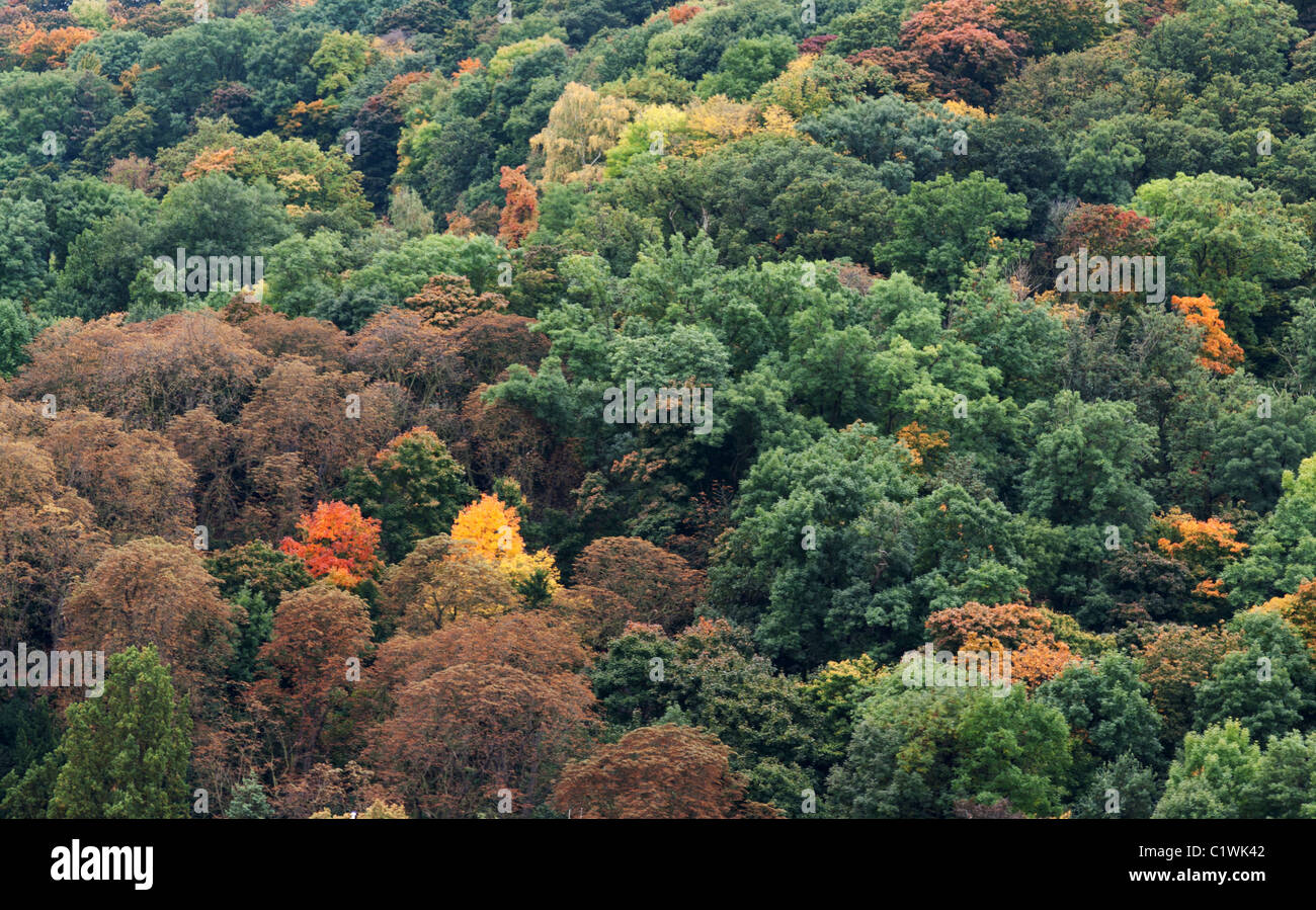 Prague forest hi-res stock photography and images - Alamy