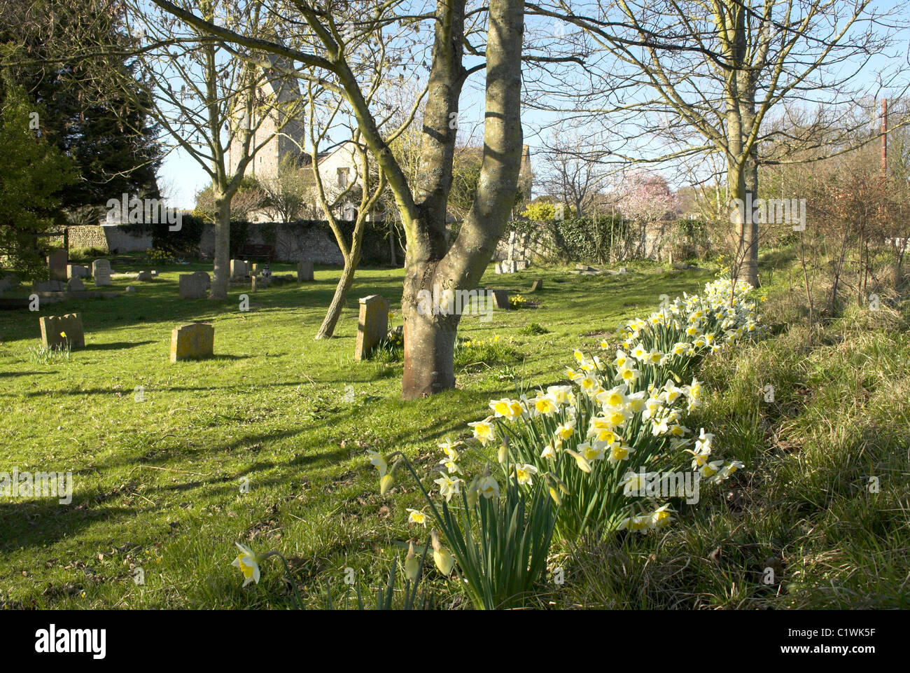 Sompting village hi-res stock photography and images - Alamy